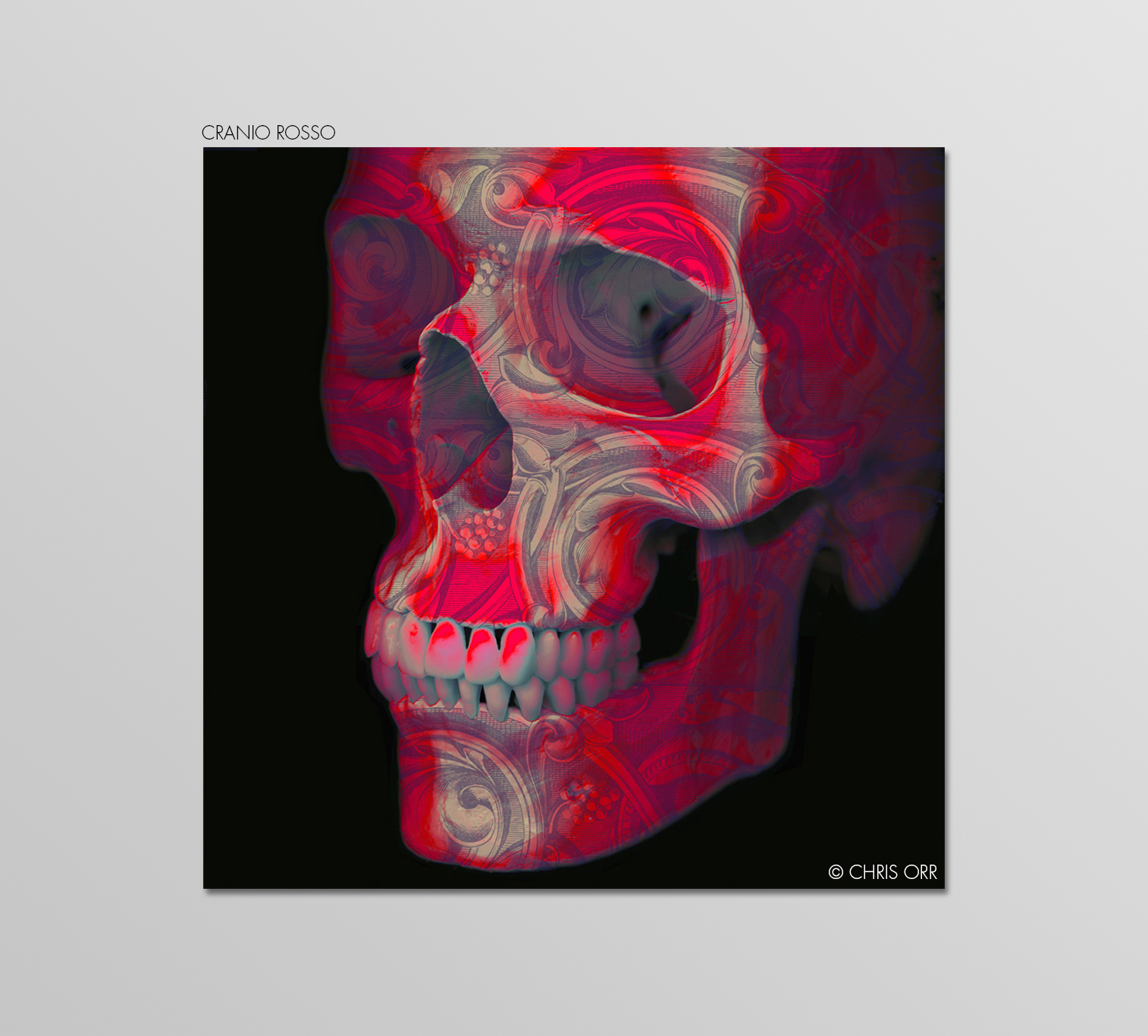 Chris Orr – Artist