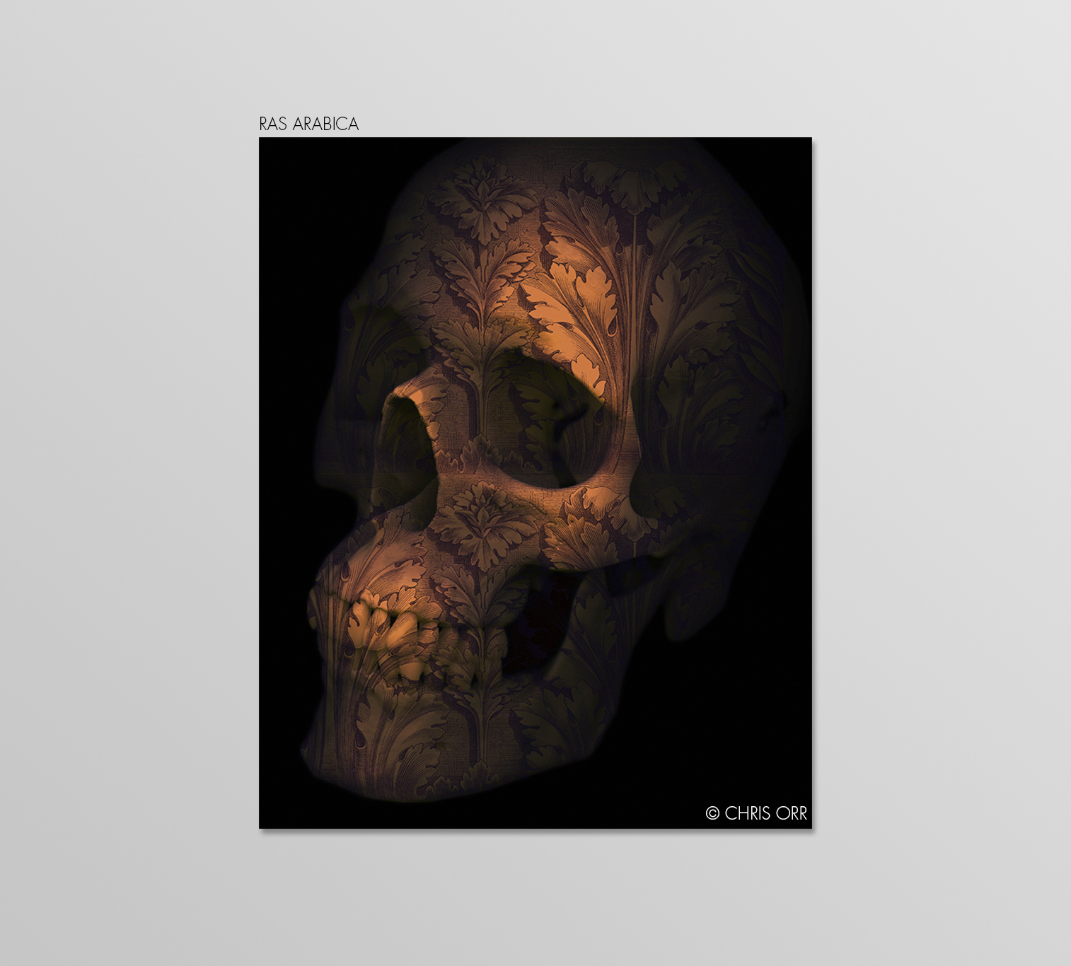 Chris Orr – Artist